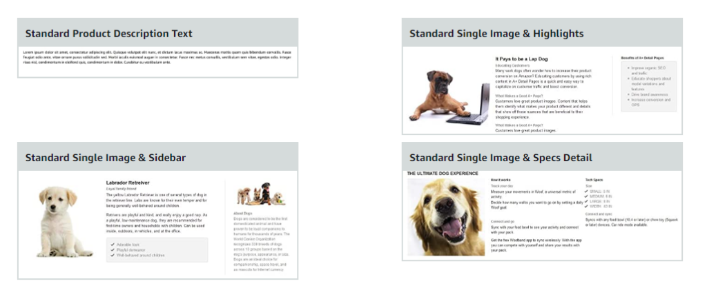 Here's how Amazon A+ content works and how to get it set up - Rachel Rofé