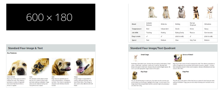Here's how Amazon A+ content works and how to get it set up - Rachel Rofé